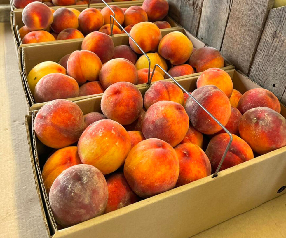 Products - Sunny Slope Market & Orchard